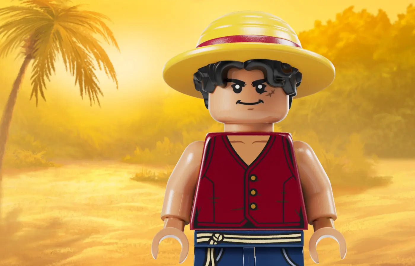 One Piece — LEGO COLOMBIA